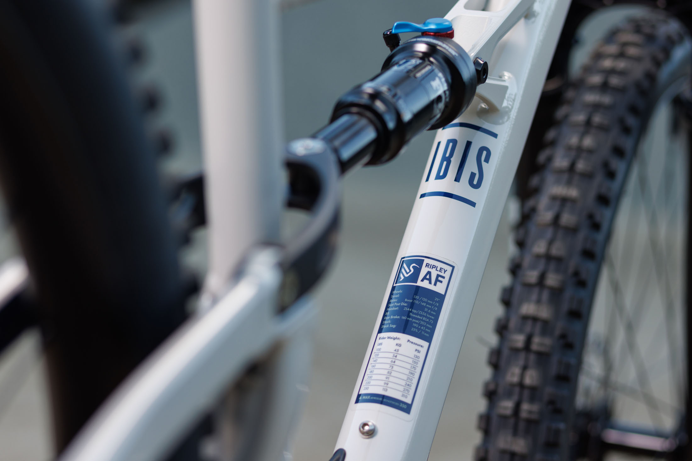 Welcome to the new Ibis! - Ibis Cycles Inc.