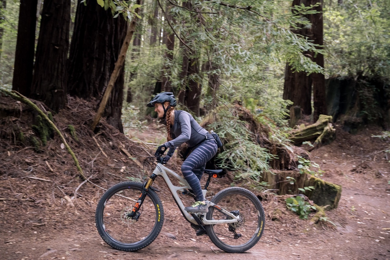 Ibis Migration #12 and 13 Report - Ibis Cycles Inc.